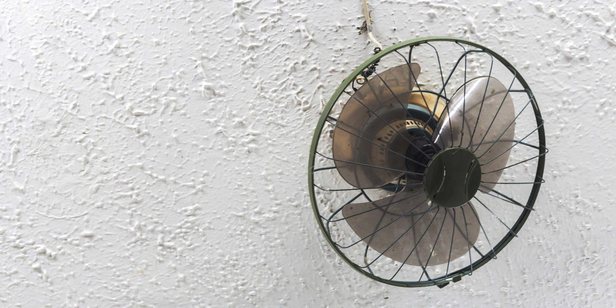 fans-806164_1200x1200.jpg?v=1660571787